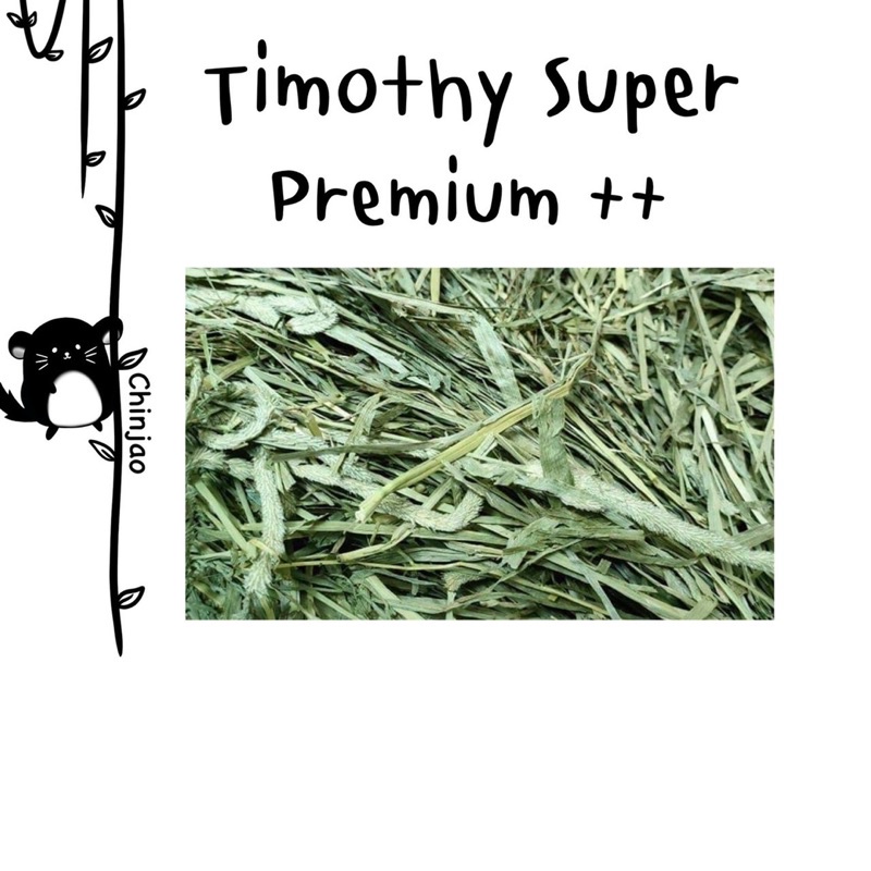 Timothy Super Premium หญ้าทิมโมธีร่อนฝุ่น ก้านนิ่ม กรอบ ใบและดอกเยอะ ...