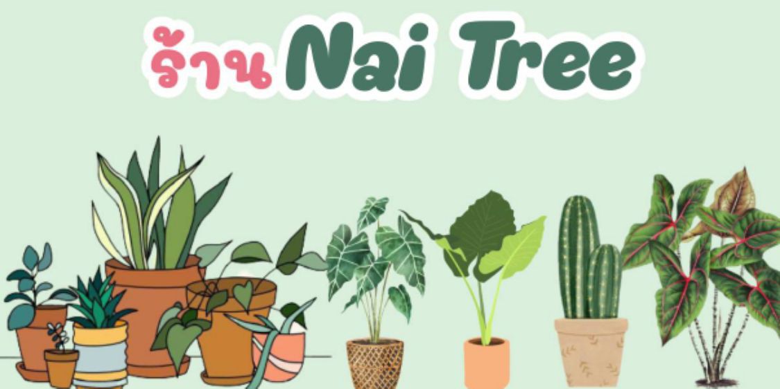Nai Tree, ร้านค้าออนไลน์ | Shopee Thailand