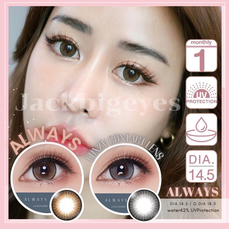 Always Brown0.00-1000 gray ค่าสายตา 00-1000 - jackbigeyes - ThaiPick