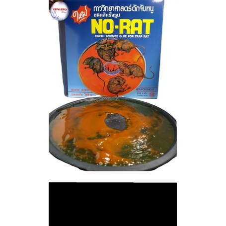 กาวถาดดักหนู NoRat กาวดักหนู กาววิทยาศาสตร์กำจัดหนู | Shopee Thailand