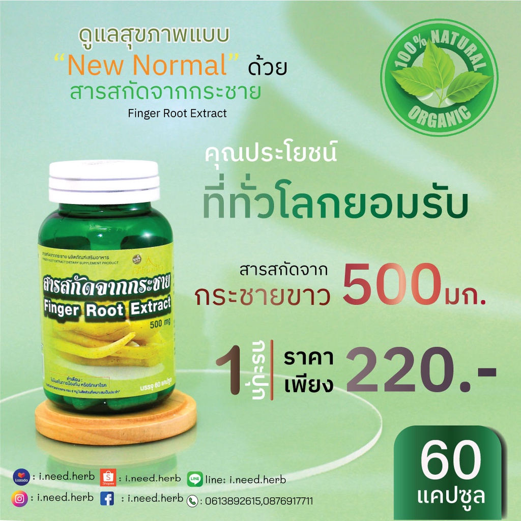 Vistra Finger Root Extract 240mg - easybeautiful - ThaiPick