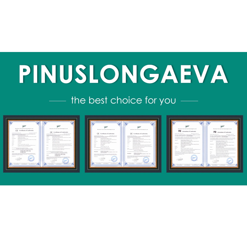 Pinus longaeva C for car DC12v .5g 5g 7g 10gh Portable stainless steel ...