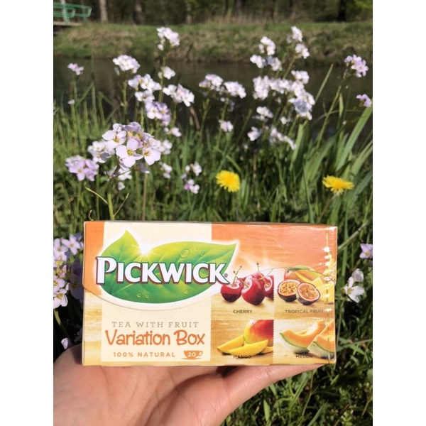 ชาผลไม้หลากรส ธรรมชาติแท้ 100 Pickwick Tea With Fruit Variation Box 100 ...
