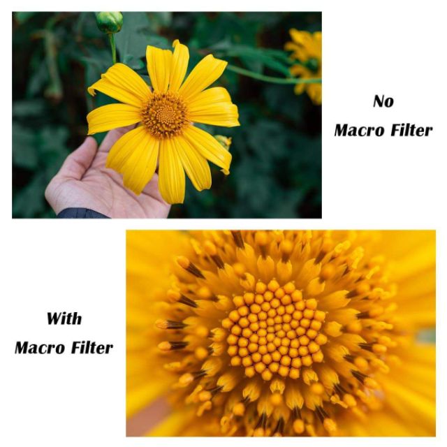 ฟิลเตอร์มาโคร (Macro filter) สร้างภาพมาโครด้วยฟิลเตอร์ 1 อัน - whappen ...