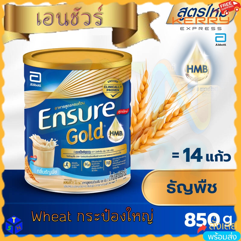 เอนชัวร์ โกลด์ ธัญพืช 850g 1 กระป๋อง Ensure Gold Wheat 850g Tin อาหารเสริมสูตรครบถ้วน มี HMB ...