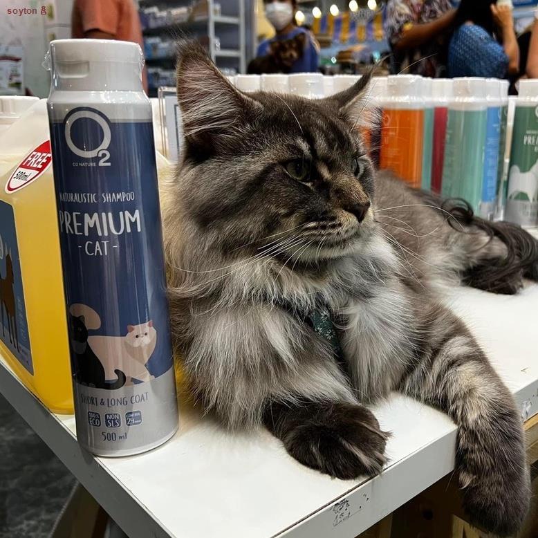จุดประเทศไทยO2 Shampoo แชมพูแมว Cat หรือ Kitten Premium กำจัดยีสต์และรา ...