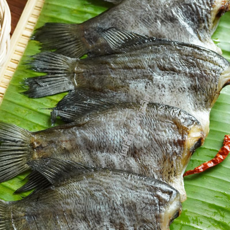 ปลาสลิดหอม บางบ่อ (สูตรโบราณ) - plasalid_bangbo_m_aoy_1 - ThaiPick