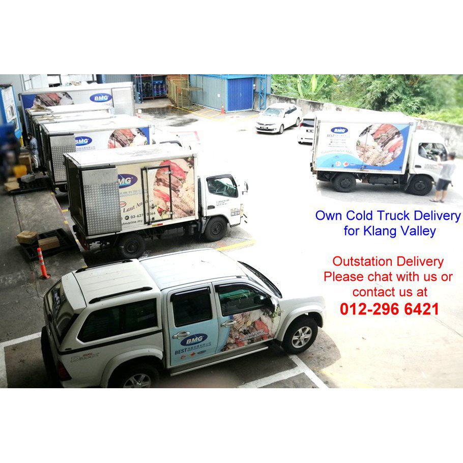 3pcs Norway Saba Mackerel Fillet 500gm - (Vacuum Packed) นอร์เวย์ปลาทู ...