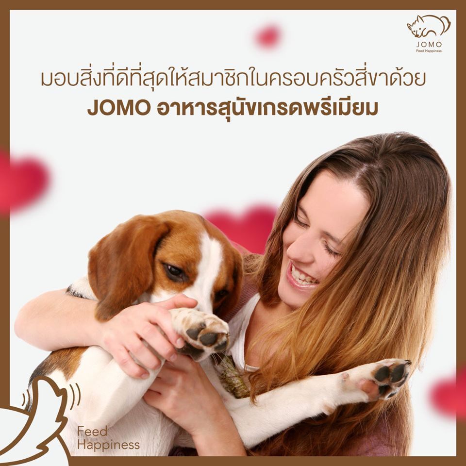 JOMO DOG FOOD โจโม่ สูตรเนื้อแกะออสเตรเลียและข้าว เกรดพรีเมียม ขนาด 2 กก. - fukupetclubs - ThaiPick