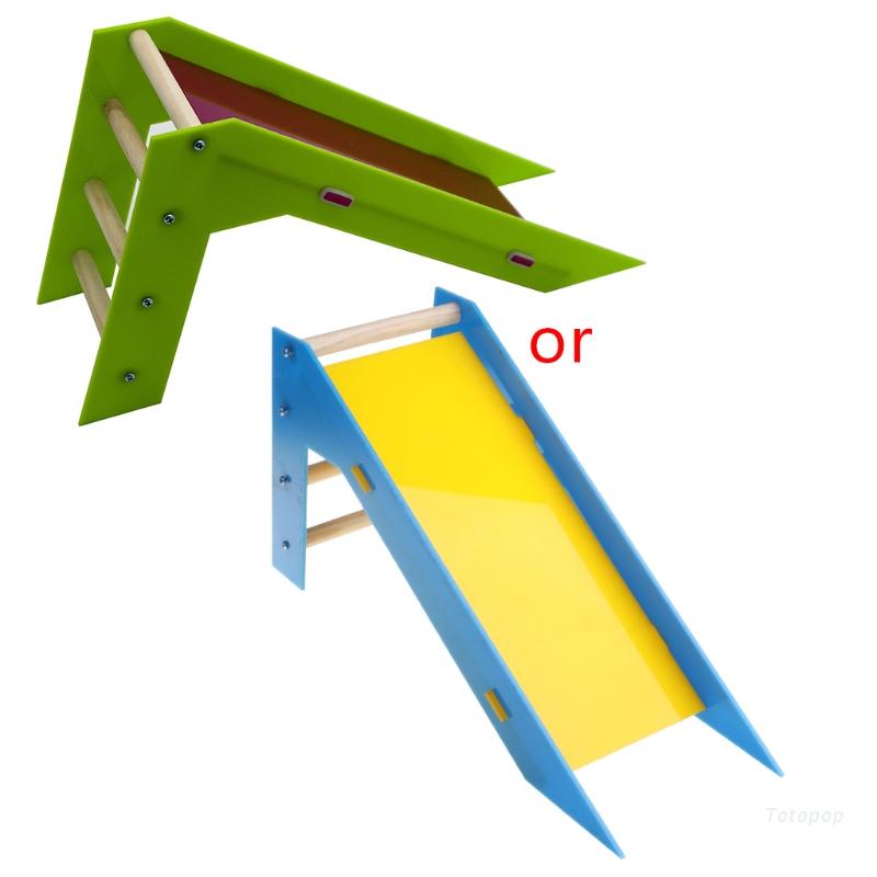 Top Parrot Toy Bird Intelligence Skill Training Slide and Crawling ...