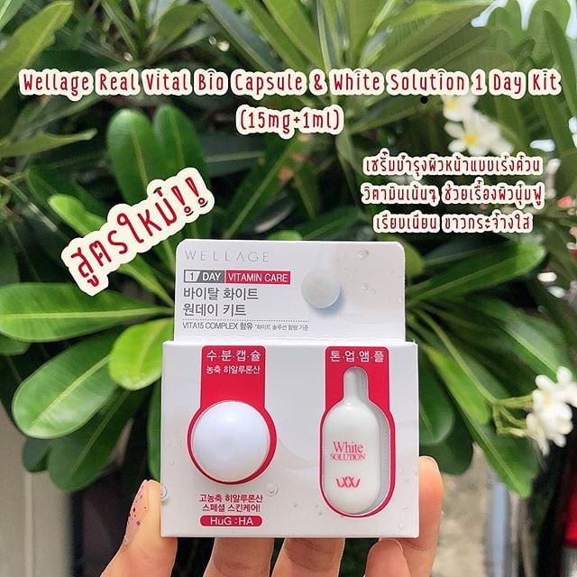 อ่านก่อนสั่ง Wellage Real Hyaluronic Bio Capsule Collagen Gold Vital ...