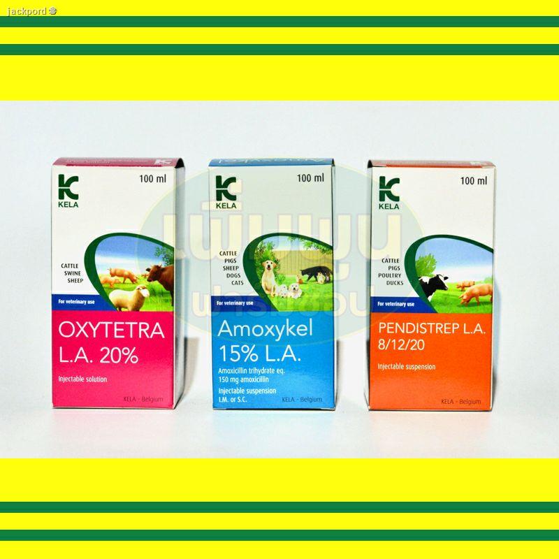 จุดประเทศไทยพร้อมส่ง Kerry AMOXY OXY PEIVDISTREP L.A. - jackpordshop4 ...