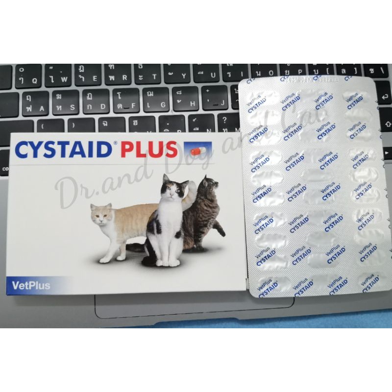 Cystaid Plus CAT (30 แคปซูล) อาหารเสริมแมว โรคระบบทางเดินปัสสาวะ ของแท้ ...
