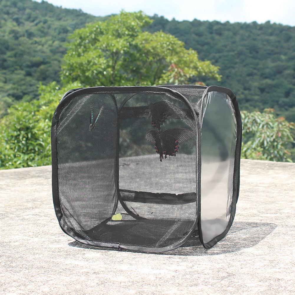 Foldable Portable Ventilated Butterfly House Breeding Cage - rolan.th ...