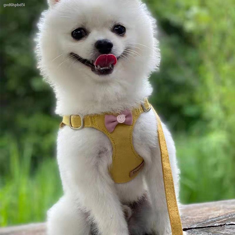 TINOKI สายจูงสุนัขสายจูงสุนัขขนาดเล็กสายจูงสุนัขเสื้อกั๊กประเภท Teddy ...