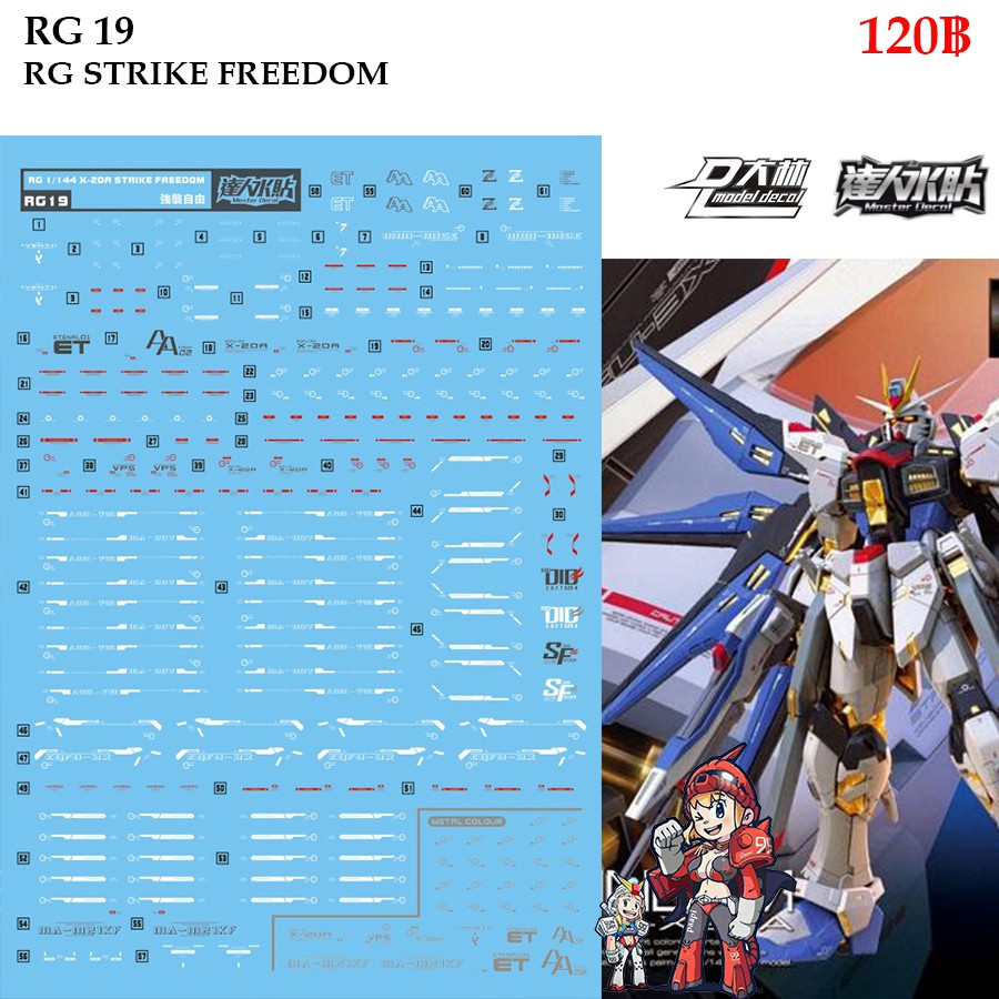 ดีคอลน้ำ [D.L. Darlin] RG19 STRIKE FREEDOM GUNDAM RG 1/144 Water Decal ...