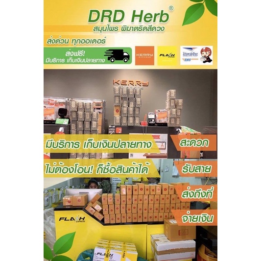 สมุนไพร 9 ชนิด DRD HERB ภูมิแพ้เรื้อรัง - drdherb4289 - ThaiPick