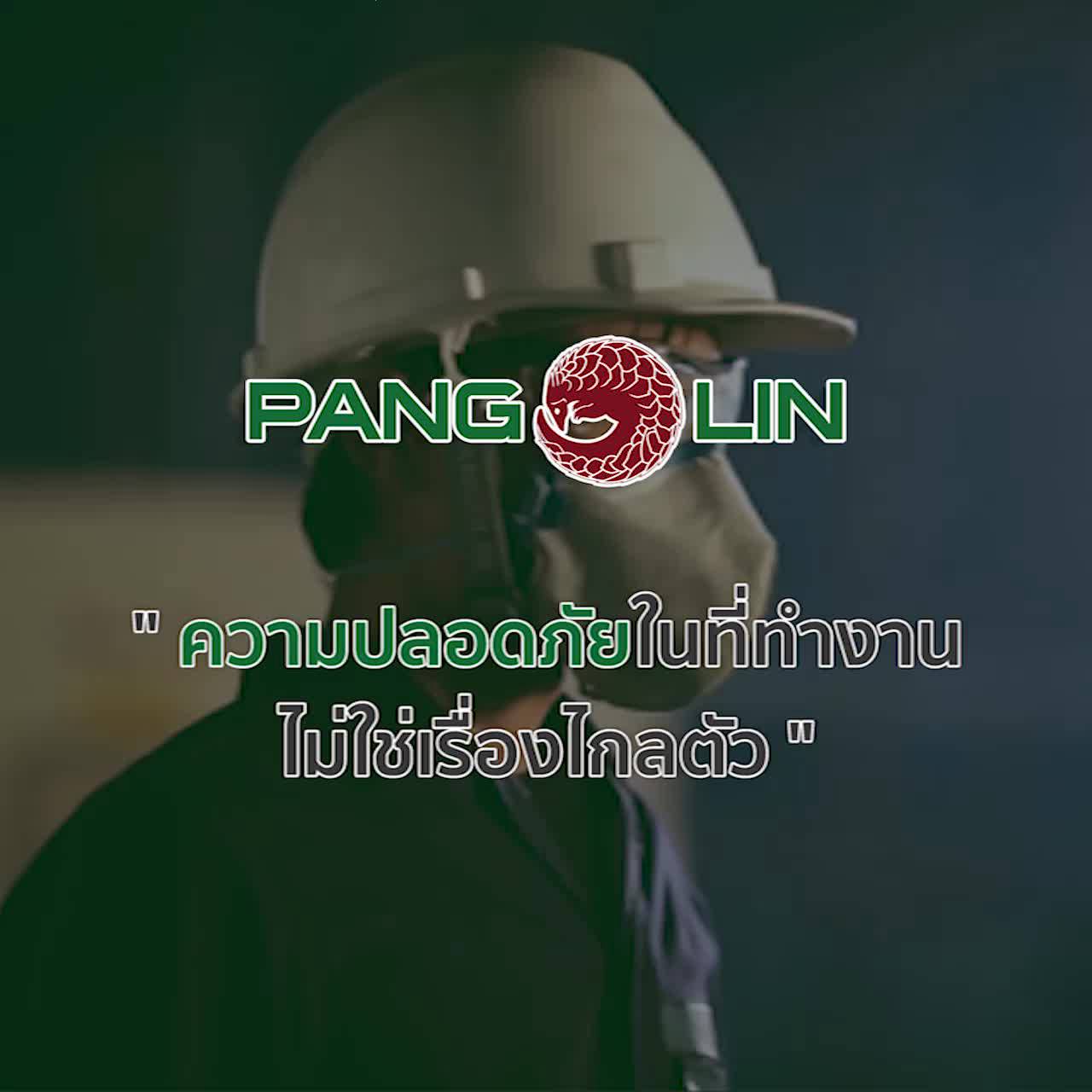 Pangolin Official Store, ร้านค้าออนไลน์ | Shopee Thailand
