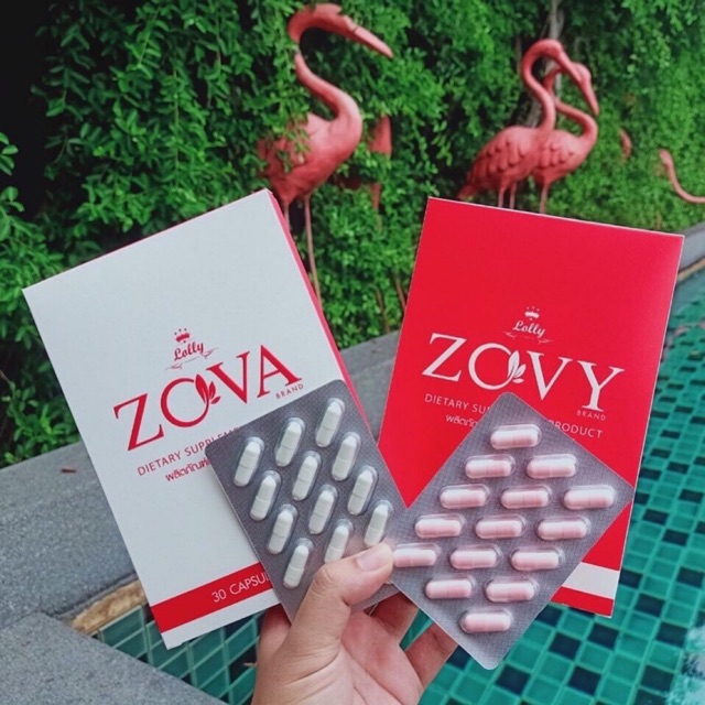 Zovy ถูกที่สุด พร้อมโปรโมชั่น มี.ค. 2024|BigGoเช็คราคาง่ายๆ
