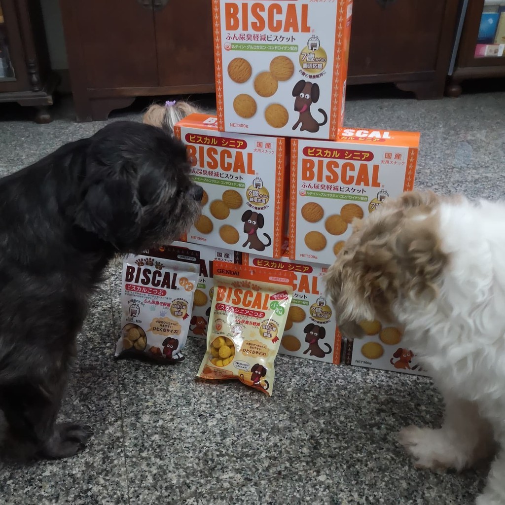 ขนมน้องหมา คุกกี้ลดกลิ่น อึ ฉี่ สุนัข เห็นผลใน 3 - 4 วัน BISCAL (Senior ...