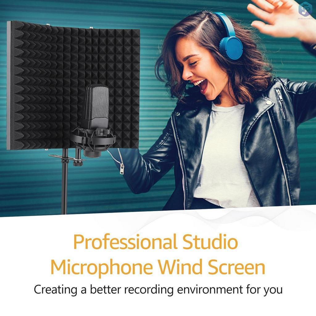 Professional Studio Recording Microphone Isolation Shield Pop Filter ...