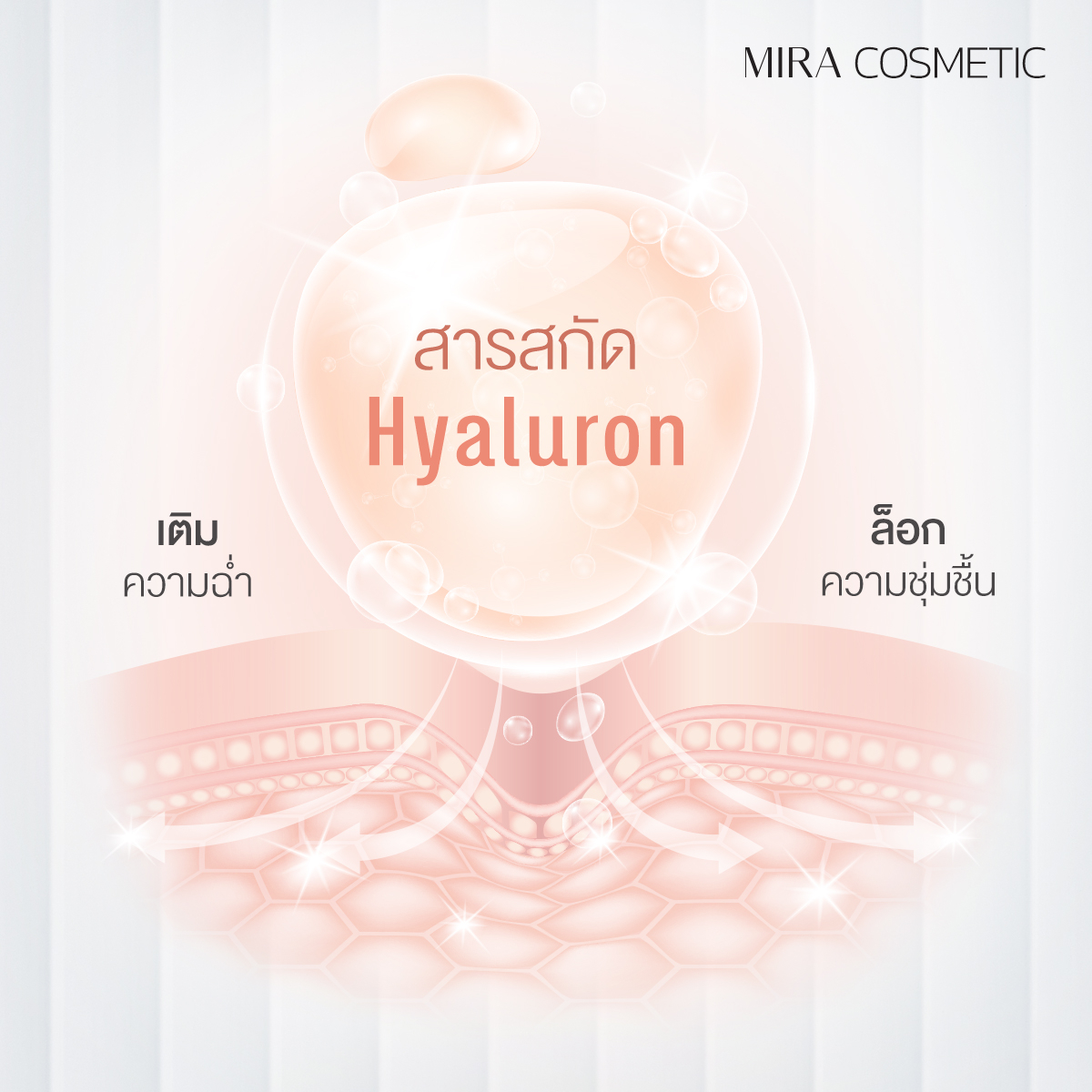 MIRA Cosmetics Official, ร้านค้าออนไลน์ | Shopee Thailand