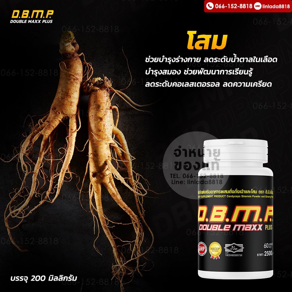 DBMP ดีบีเอ็มพี ( ดับเบิ้ลแม็กพลัส ) 1 กระปุกเล็ก ฟรีค่าส่ง ของแถมเต็ม ...