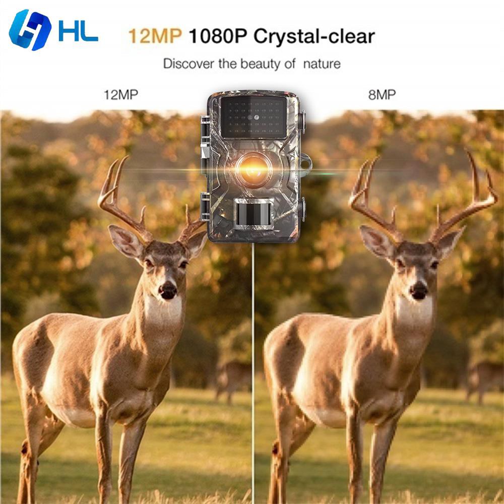 HL Scouting Camera Animal Camera Recording Video Observing Animals IR ...
