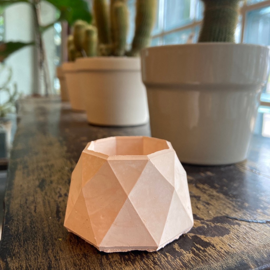 Happy Flower Pot, ร้านค้าออนไลน์ | Shopee Thailand