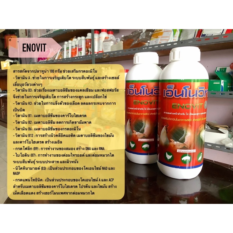 เอ็นโนวิท Enovit ขนาด 1 ลิตร : เสริมวิตามินและสารสกัดจากปลาทูน่าสำหรับ ...