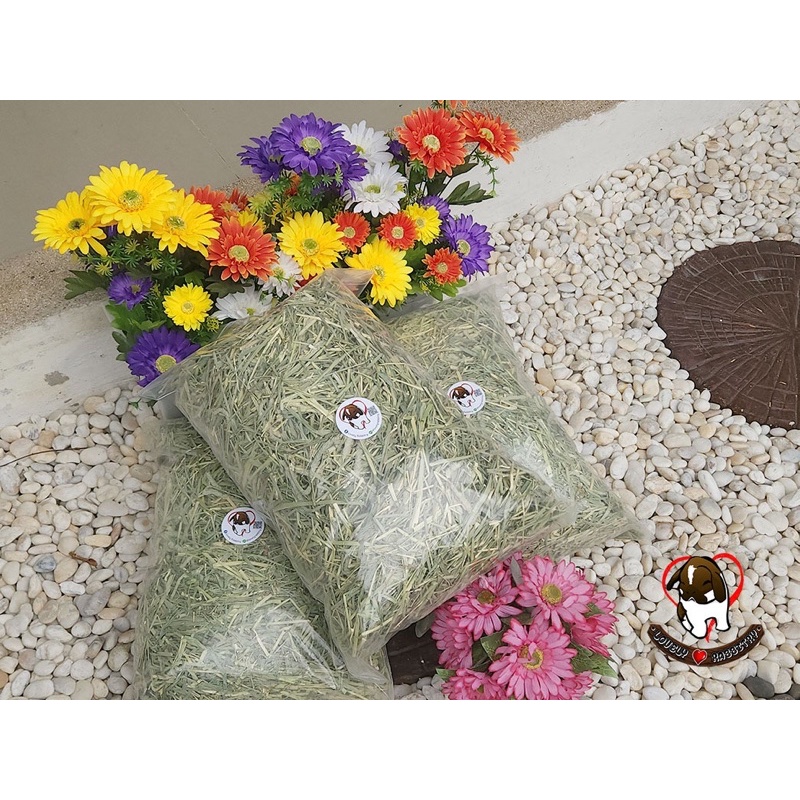 Timothy Super Premium plus 1 kg. หญ้าทิมโมธี ward Rugh ร่อนฝุ่น ...