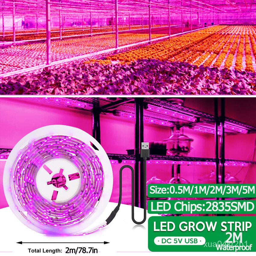 พร้อมสต็อก0.5M1M2M3M5M Rhine LEDเติบโตแสงเต็มสเปกตรัมUSBเติบโตริ้วสายไฟ ...