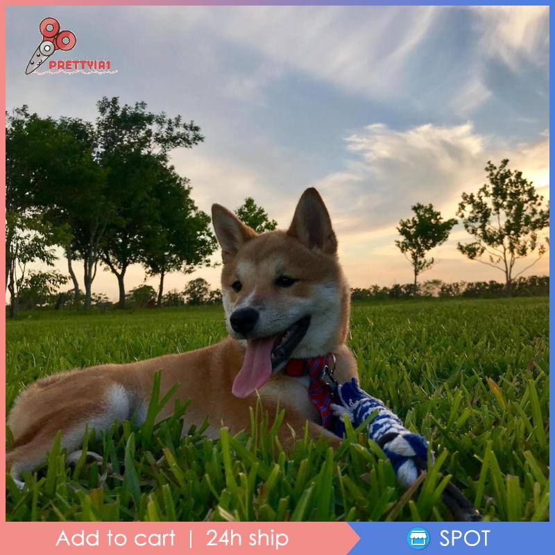 Retractable Dog Interactive Stick Extendable Flirt Pole Funny Chasing ...