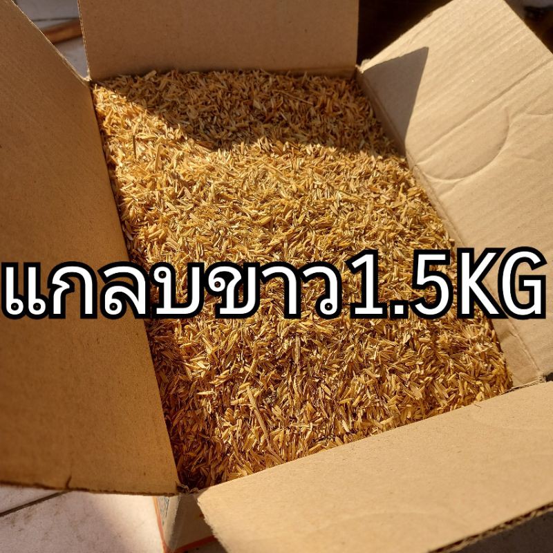 แกลบขาว แกลบดิบ 1.5kg | Shopee Thailand