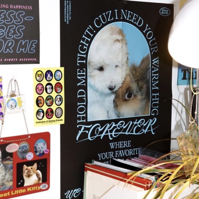 พร้อมส่ง THENCE - POSTER FEELINGS - seoulmate.club - ThaiPick