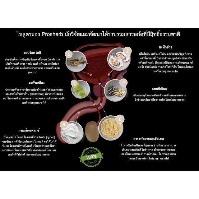 ส่งฟรี Prosherb (โปรส์เฮิร์บ) ป้องกันต่อมลูกหมากอักเสบ 1 กล่อง 15 ...