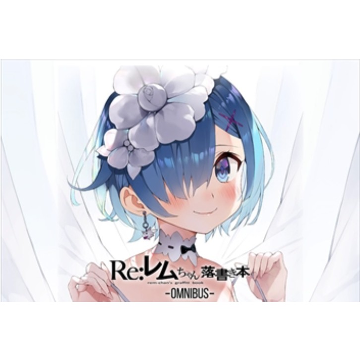 【Direct From Japan】Doujinshi Fan Fiction Books Rem Graffiti หนังสือเกมกราฟฟิตี้ Omnibus Re: Life ...