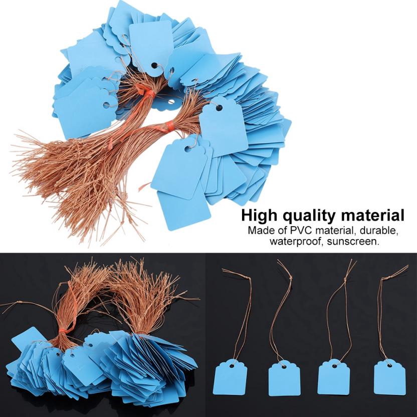 200pcs PVC Hanging Flower Plant Seed Hanging Seed Name Tag - onebuycart ...