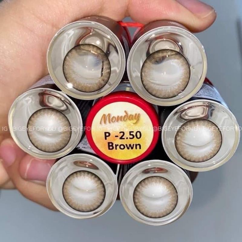 คอนแทคเลนส์ รุ่น Monday grayเทา Brown สีตาล(00.00)(-4.00 ...