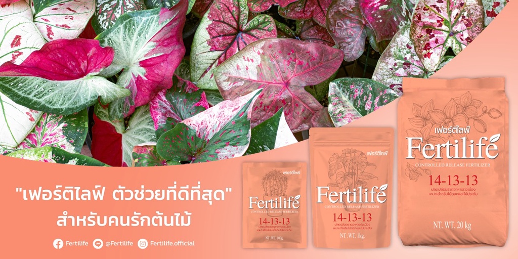 Fertilife , ร้านค้าออนไลน์ | Shopee Thailand