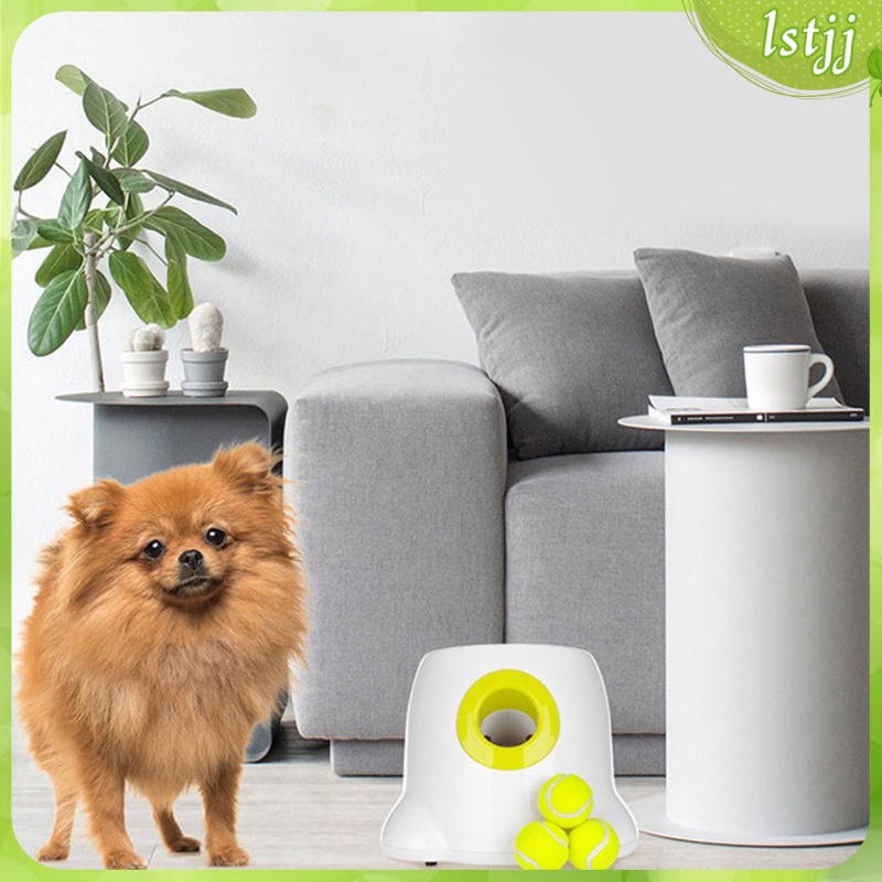 [ราคาจำกัดเวลา] Dog Automatic Ball Launcher for All Breed Dogs Puppy ...