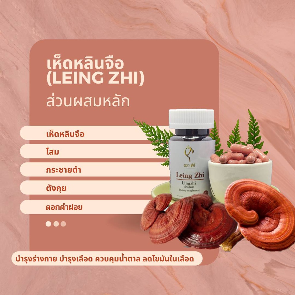 ลินคิเซ็น (Leing Zhi) เห็ดหลินจือ (เห็ด)(เห็ด) การทำงานของระบบภูมิคุ้ม ...