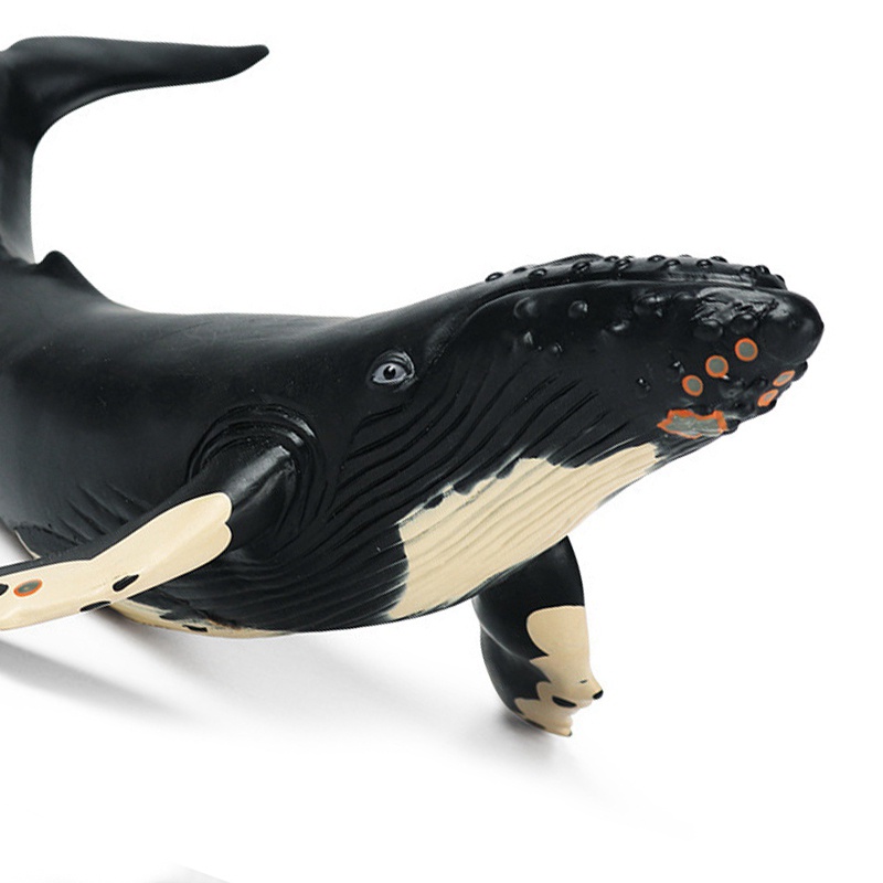 ﹉Sea Life Animals Killer Whale Model Action Figures Pvc & Simulation ...