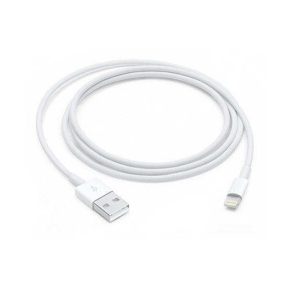 Lightning Cable to USB MFI for iPad iPod Pro Max 7 8 Plus 5gaN - 192 ...