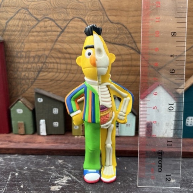 Mighty Jaxx งานแท้ 2019 ใน Sesame Street โชว์ anatomy ครึ่งตัว งานดี ...