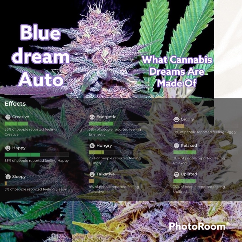 Blue dream Auto️ส่งฟรี️ไม่งอกเครมให้ใหม่ทั้งชุดสินค้ารับประกันคุณภาพ ...