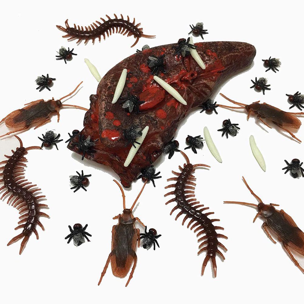 Ready Stock 150pcs Plastic Artificial Cockroaches Spiders Centipedes ...