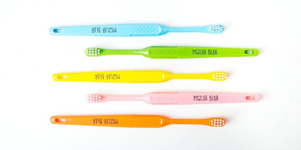 MOLAR BEAR, ร้านค้าออนไลน์ | Shopee Thailand