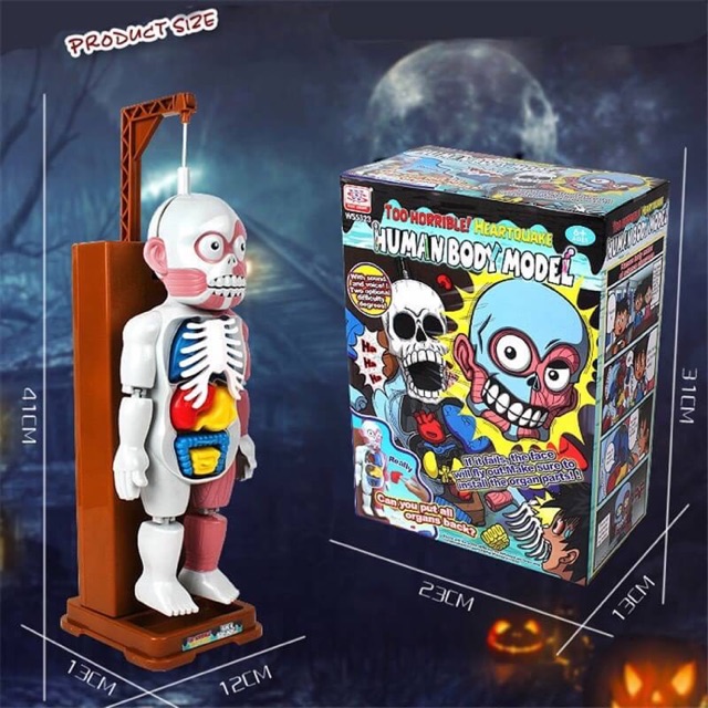 เกมส์ Human body | Shopee Thailand
