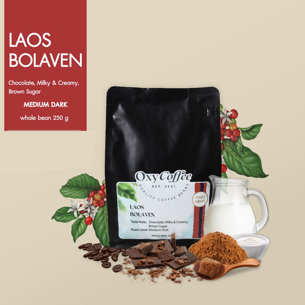 Oxy coffee กาแฟ LAOS BOLAVEN Chocolate, Milk & Creamy, Brown Sugar คั่วกลาง-เข้ม Arabica 100% ...